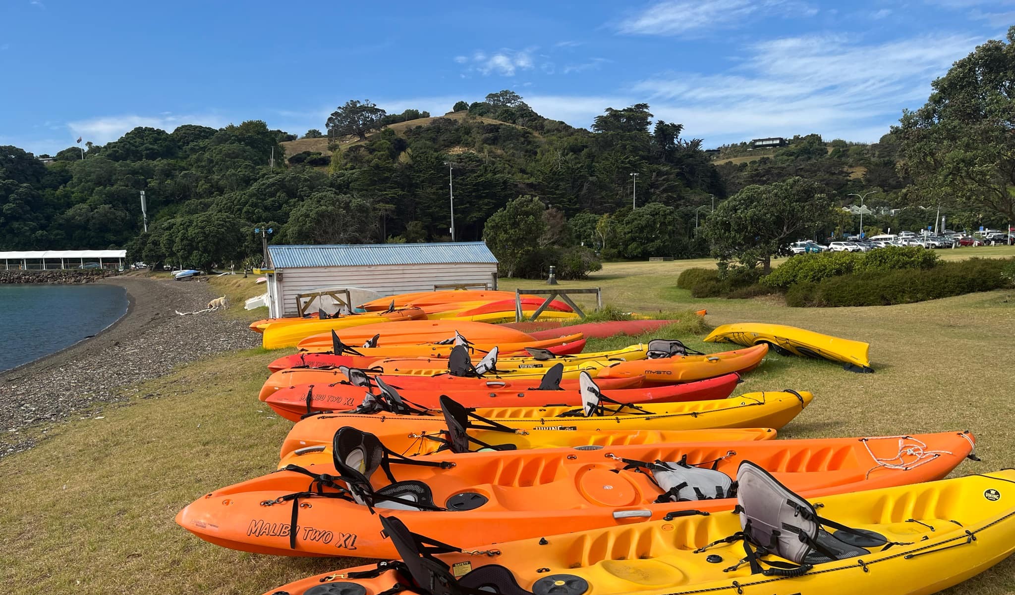Island Direct - Overview of Waiheke Island