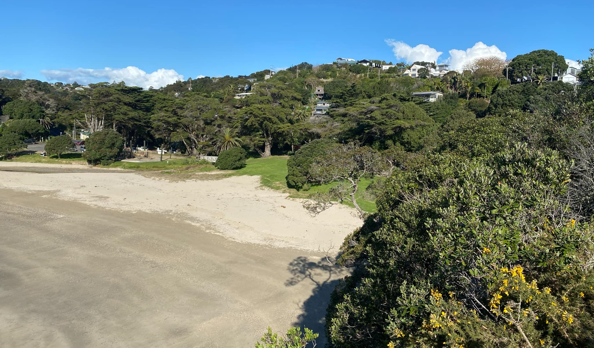 Little Palm Beach - Overview of Waiheke Island