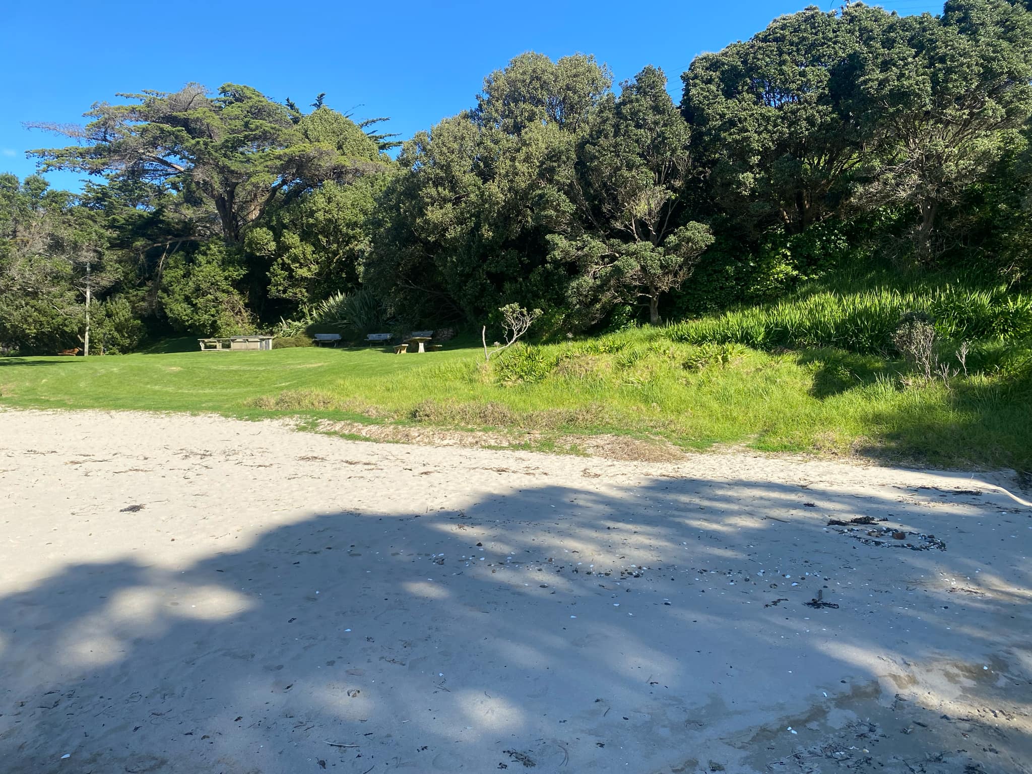 Little Oneroa Beach - Overview of Waiheke Island