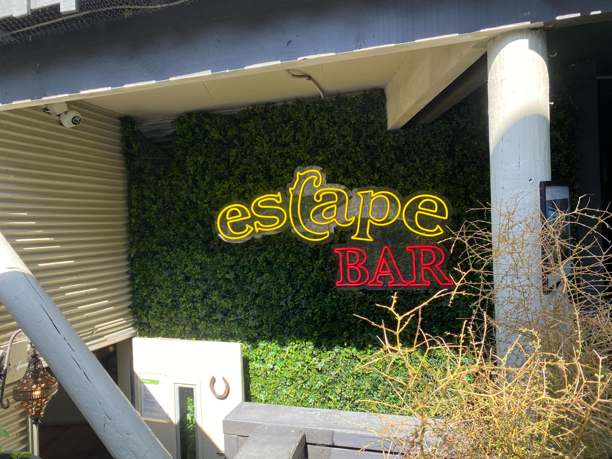 Escape Bar - Overview of Waiheke Island