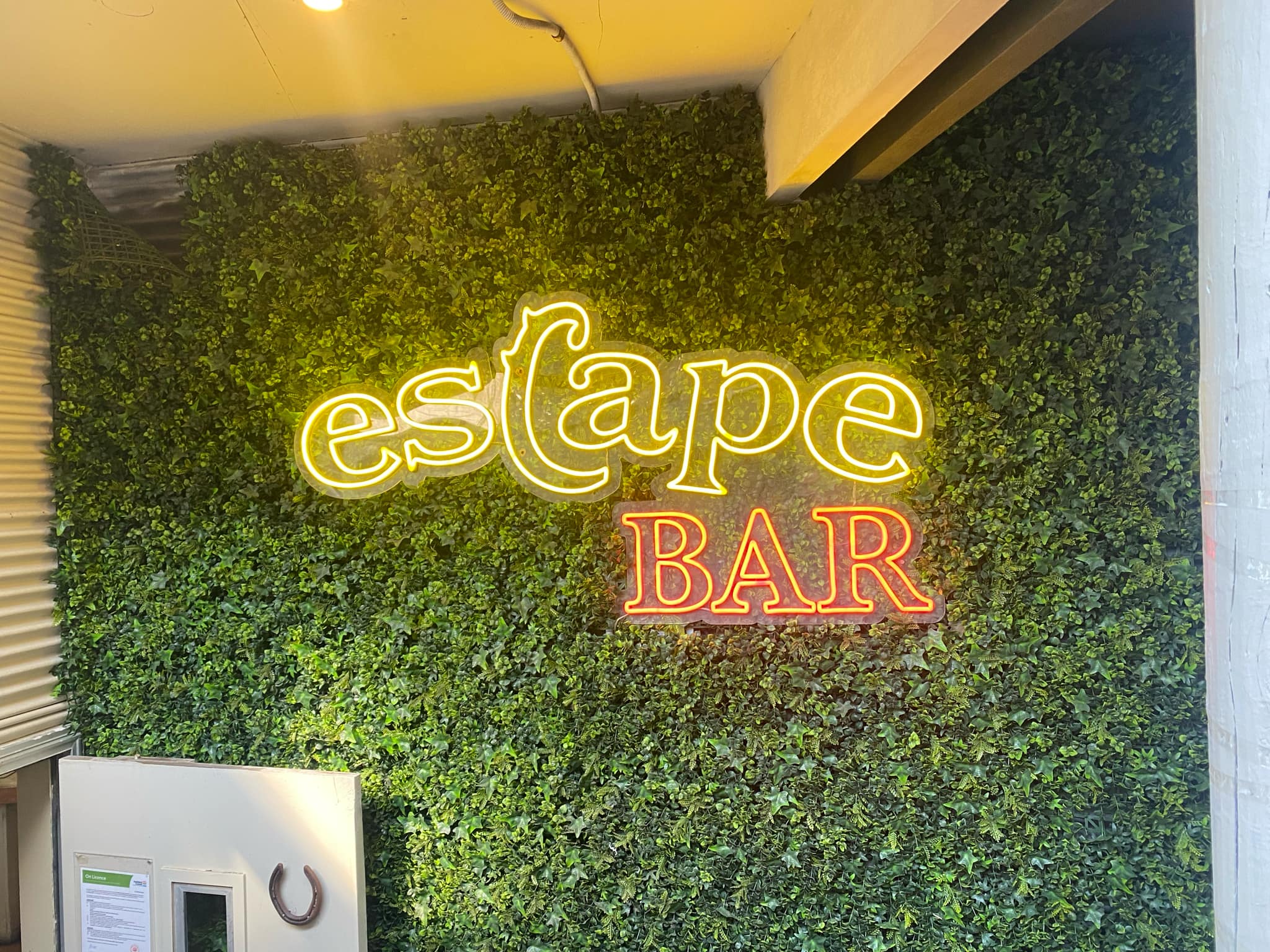 Escape Bar - Overview of Waiheke Island