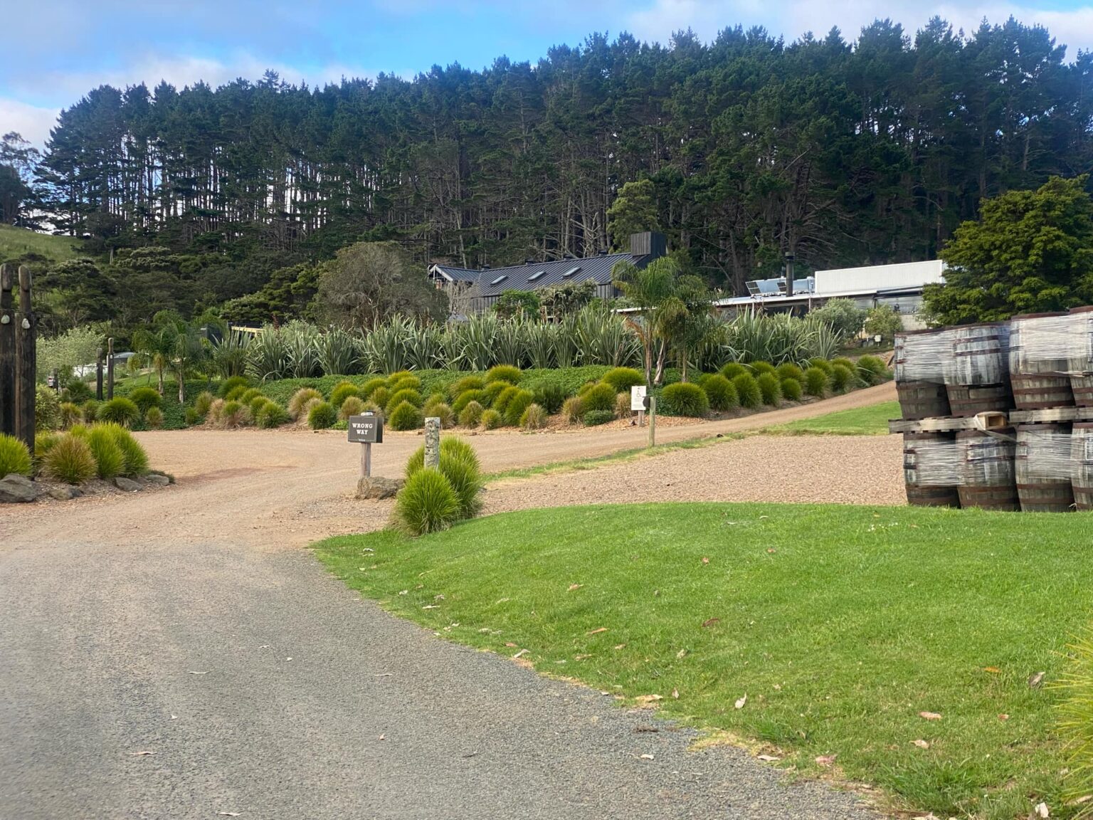 The Heke - Overview of Waiheke Island