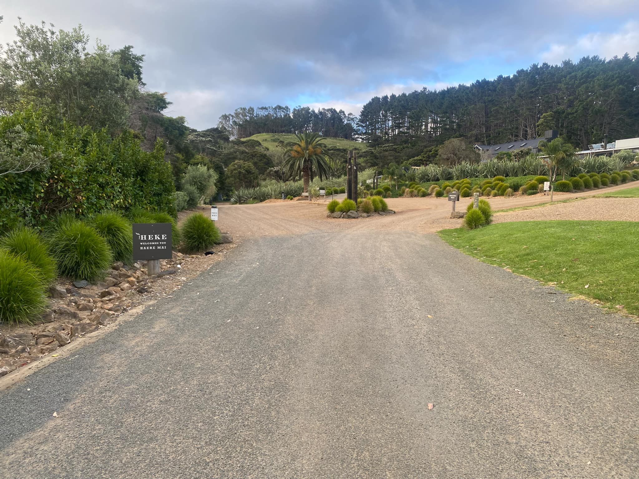 The Heke - Overview of Waiheke Island
