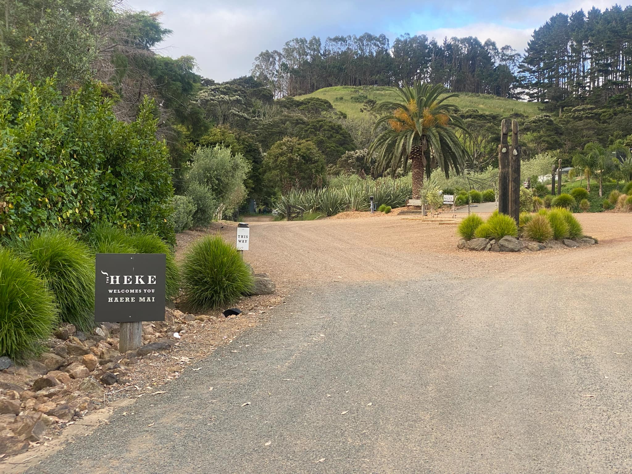 The Heke - Overview of Waiheke Island