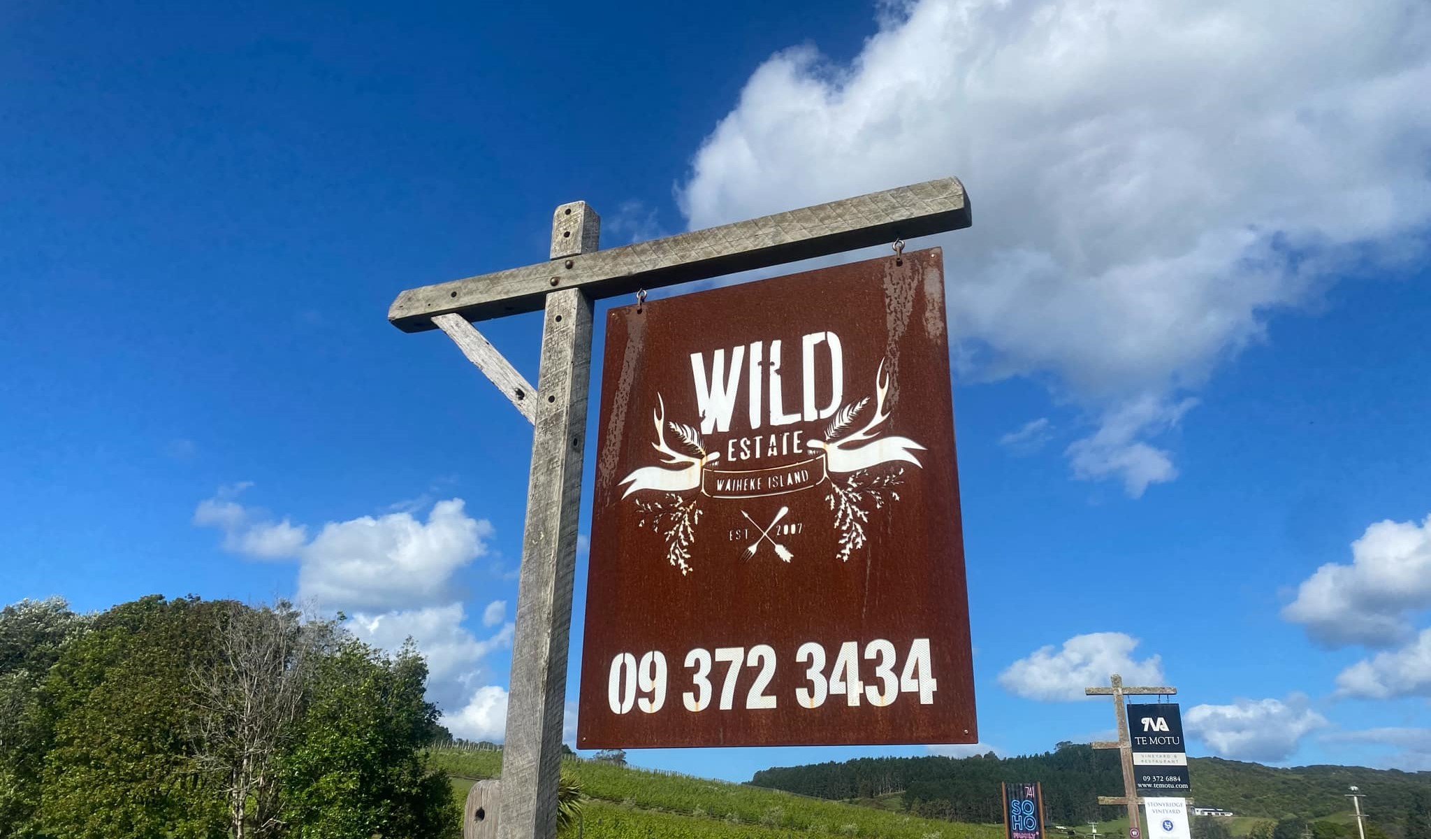 Wild Estate Vineyard - Overview of Waiheke Island