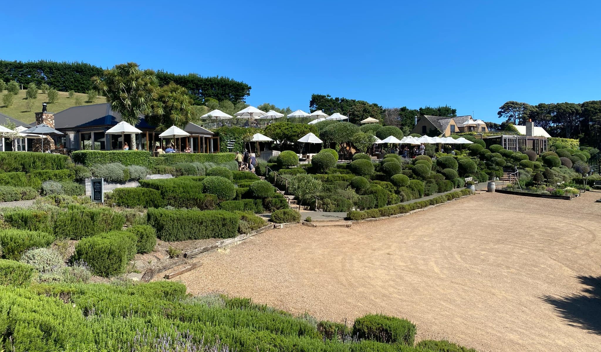 Mudbrick Vineyard and Restaurant - Overview of Waiheke Island