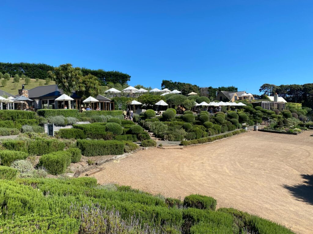 Mudbrick Vineyard and Restaurant Overview of Waiheke Island