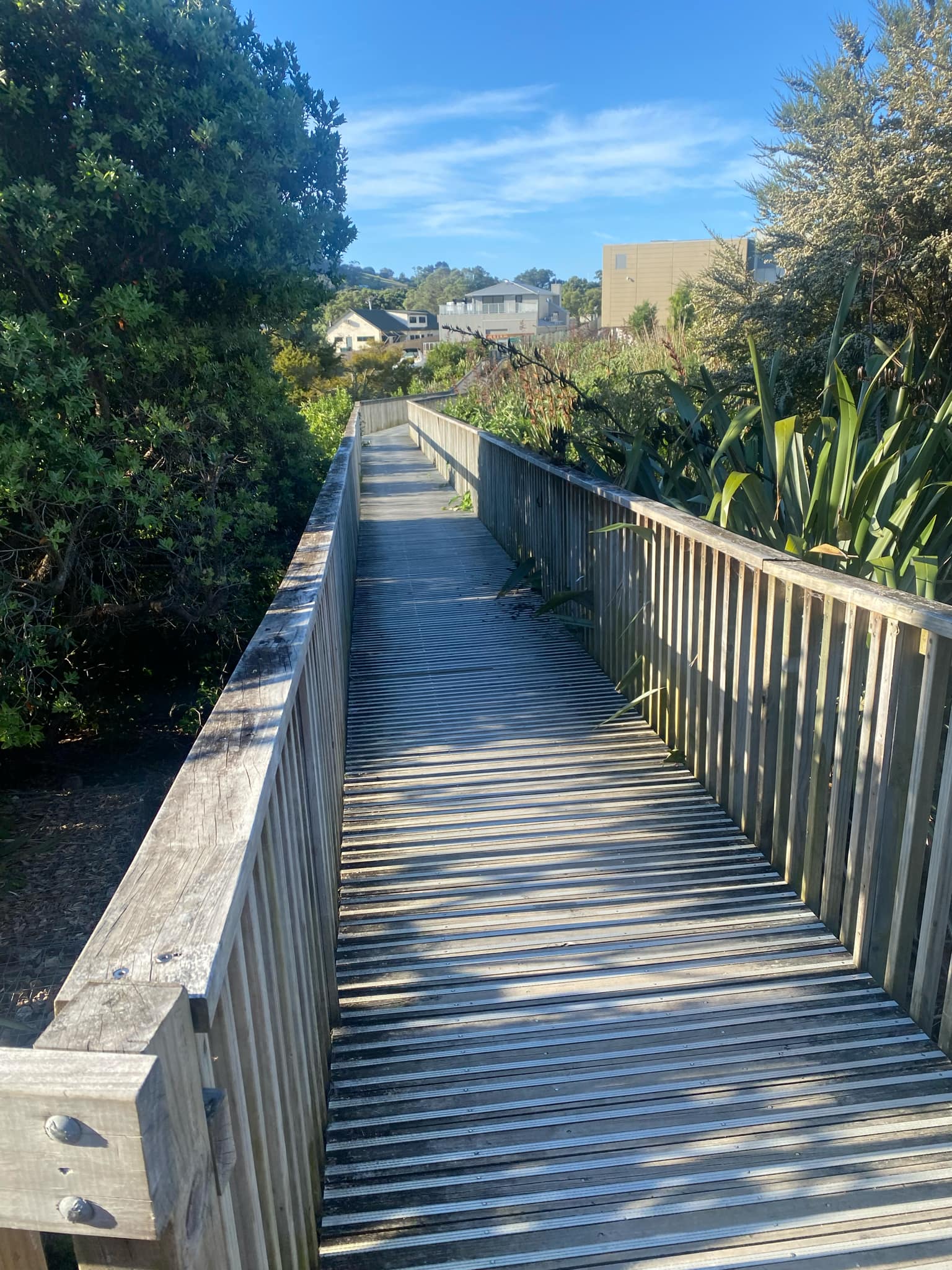 Woolworths - Overview of Waiheke Island