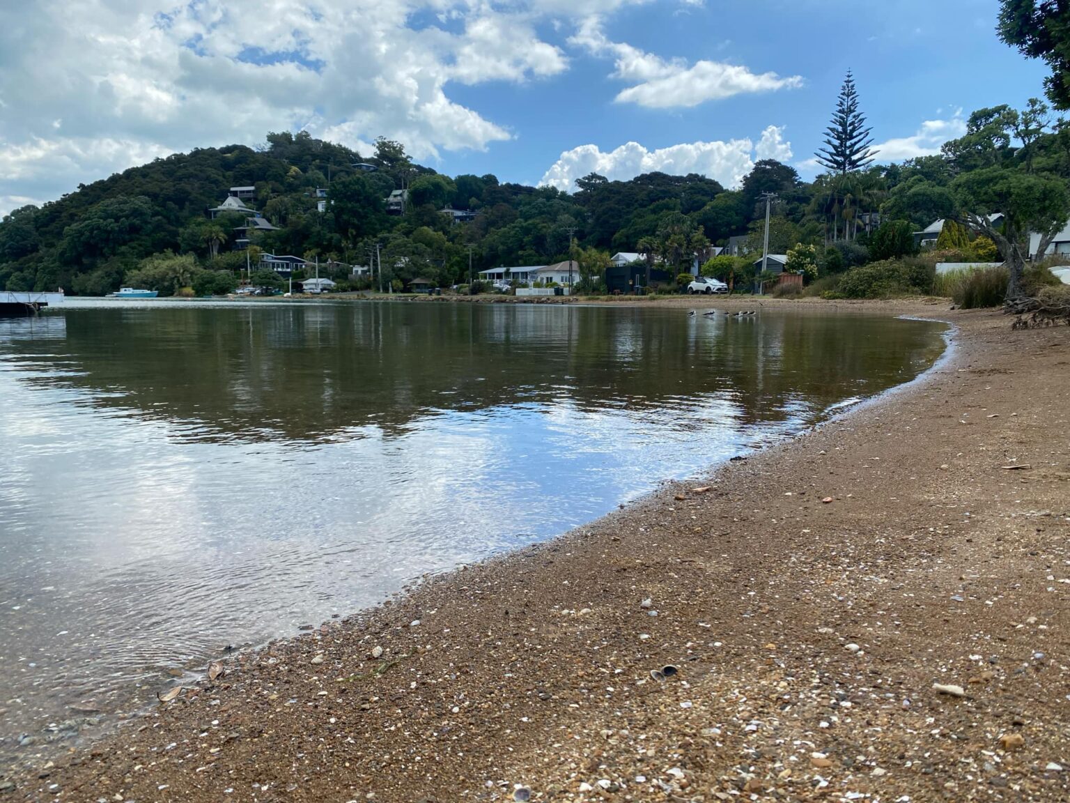 Anzac Bay - Overview of Waiheke Island