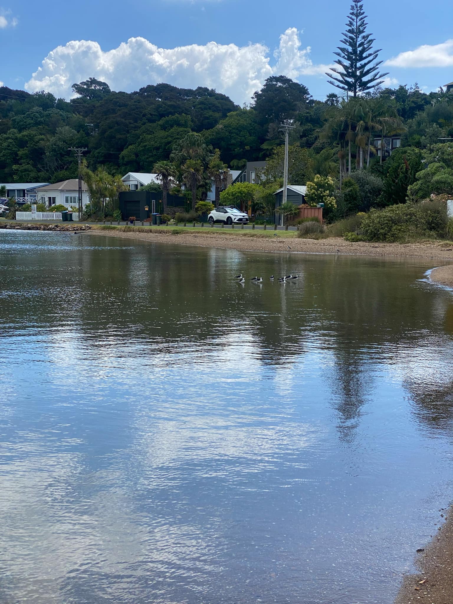 Anzac Bay - Overview of Waiheke Island
