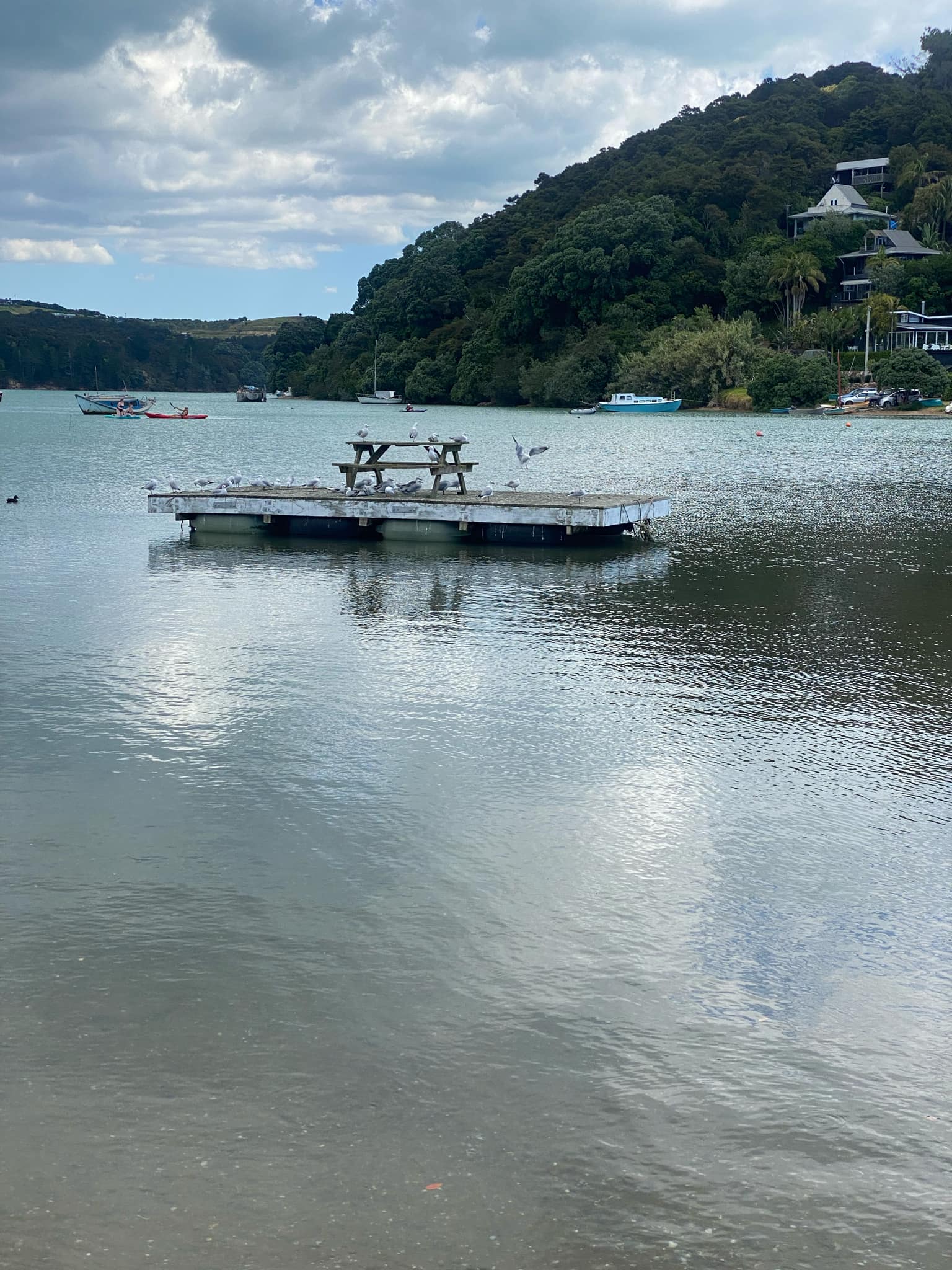 Anzac Bay - Overview of Waiheke Island