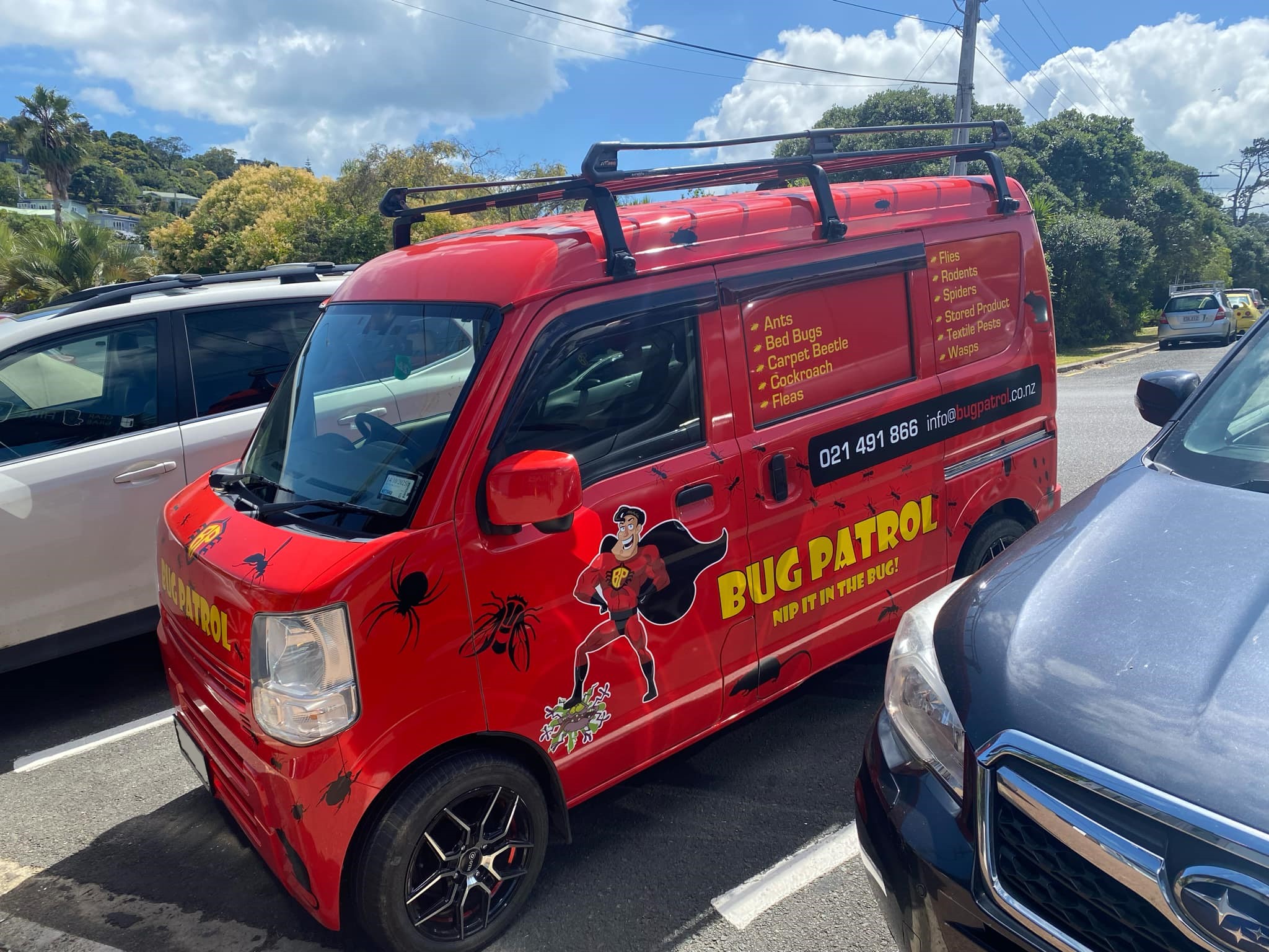 Bug Patrol - Overview of Waiheke Island