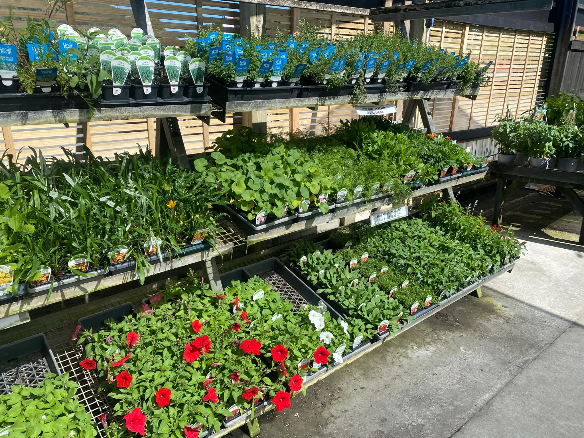 PlaceMakers Waiheke - Overview of Waiheke Island