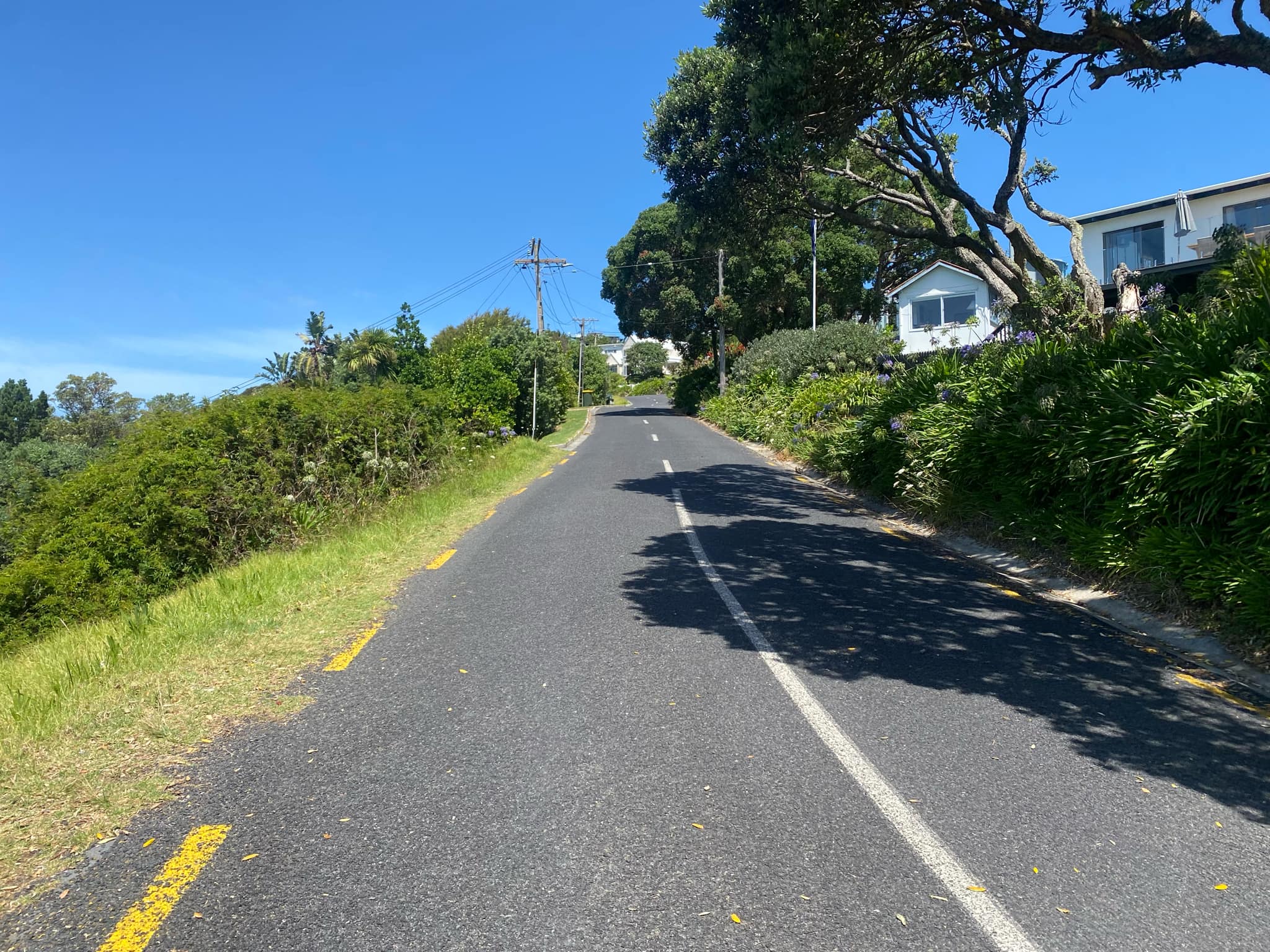 Tawa Street - Overview of Waiheke Island