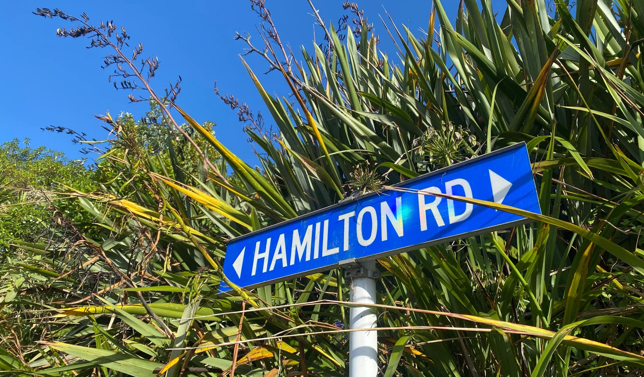 Hamilton Road - Overview of Waiheke Island