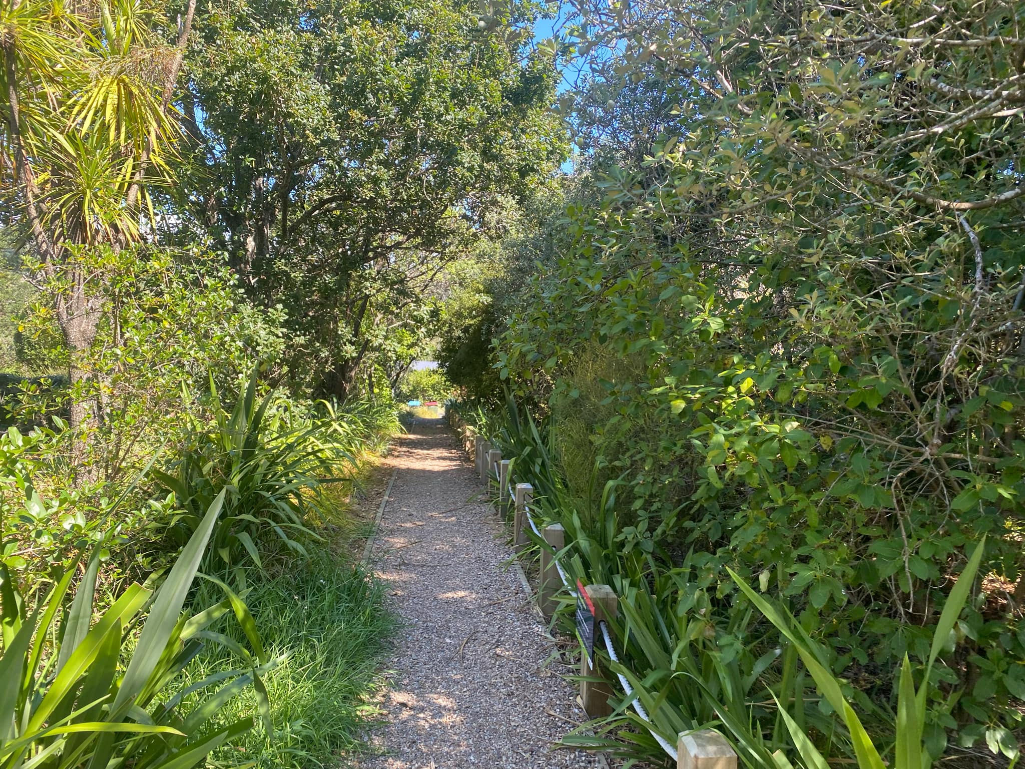 Jacobs Ladder Walkway - Overview of Waiheke Island