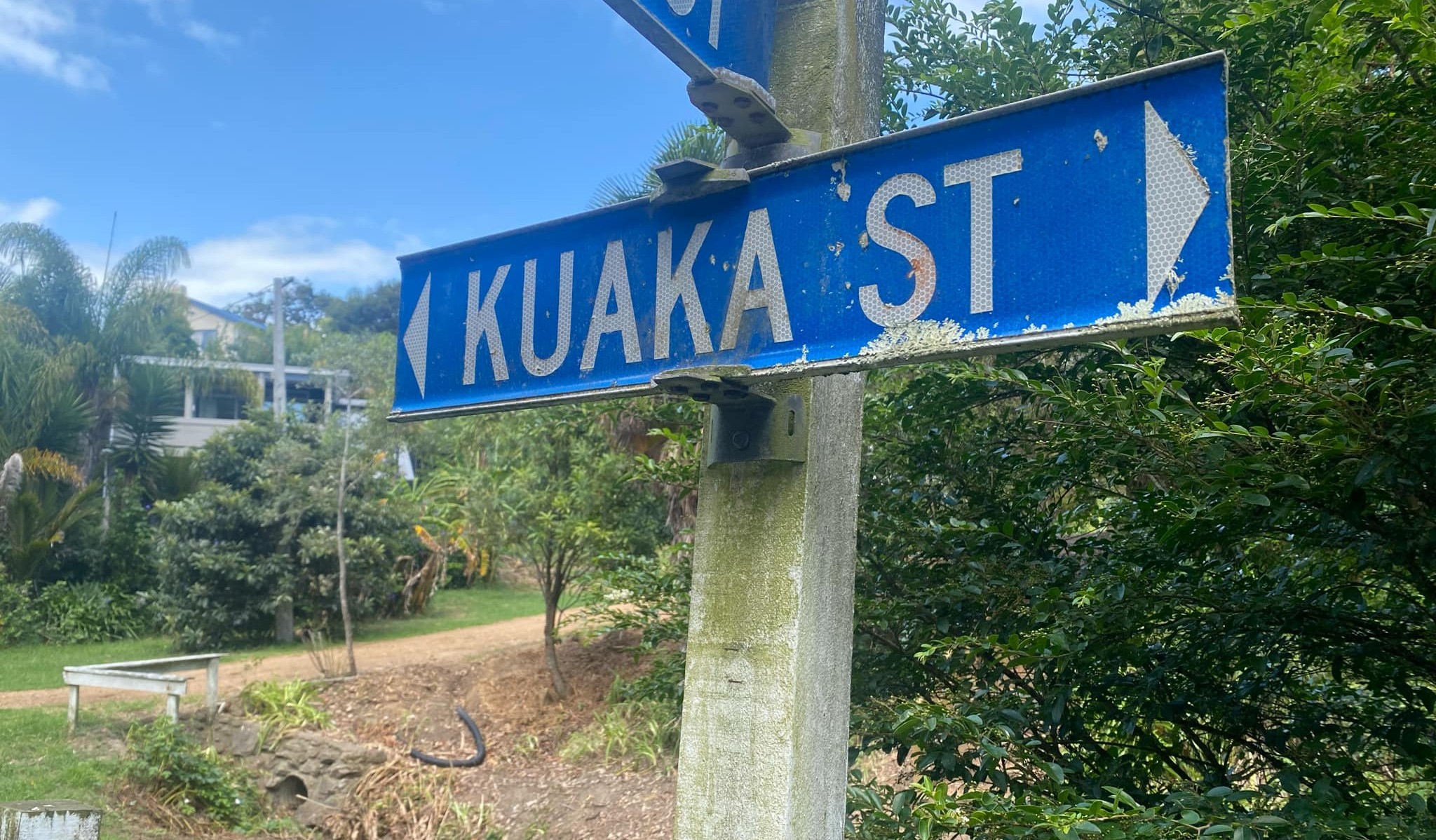 Kuaka Street - Overview of Waiheke Island