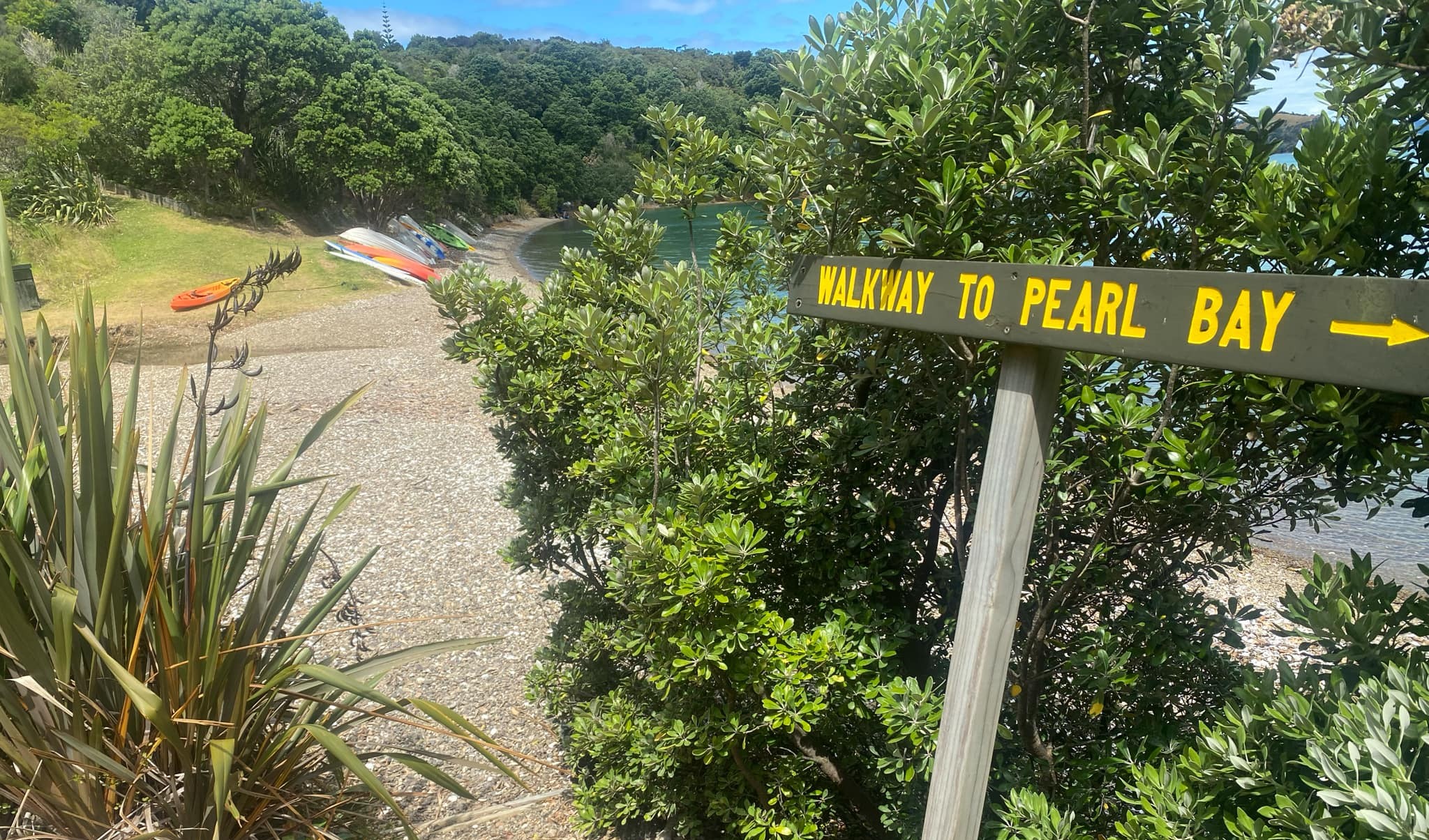 Otakawhe to Pearl Bay Walkway - Overview of Waiheke Island